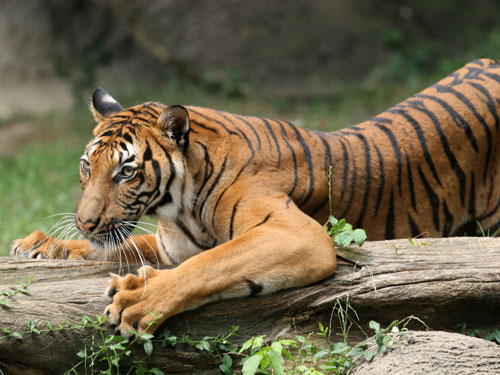 The 10 New Exciting and Playful Positions in Bed to Try and Explore ...