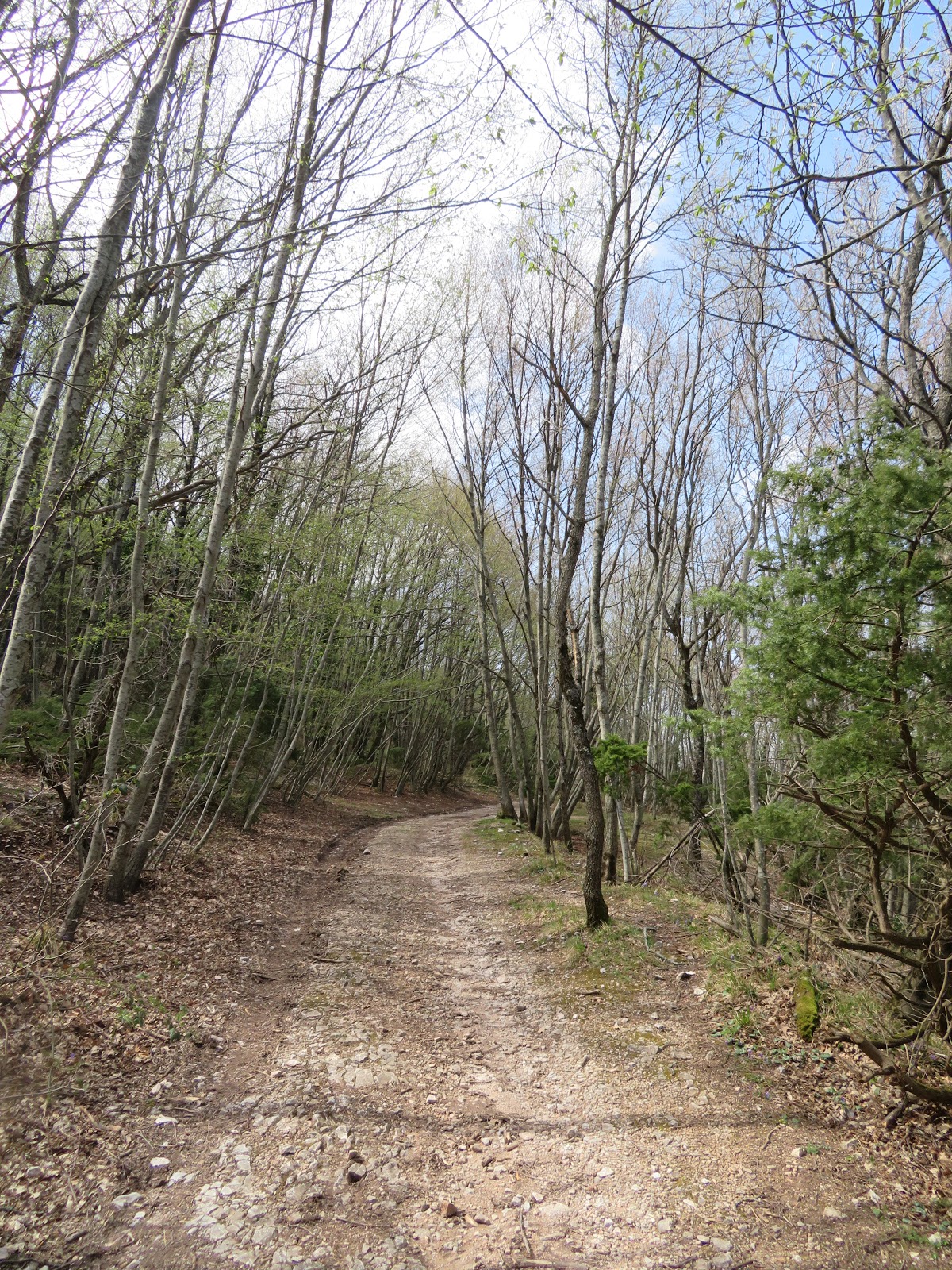 Itineris Mei: Alla scoperta del Monte Montiego