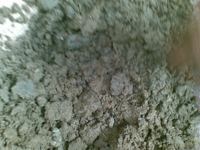 PEMBORAN TANAH DAN PENGAMBILAN CONTOH TANAH