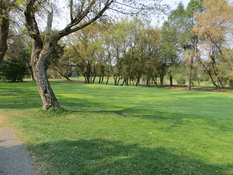 Kristazio on Golf: Playing Stonebrook