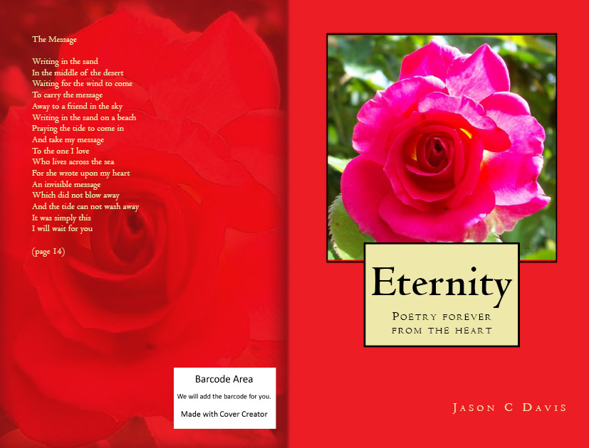 Books Available By Jason C Davis