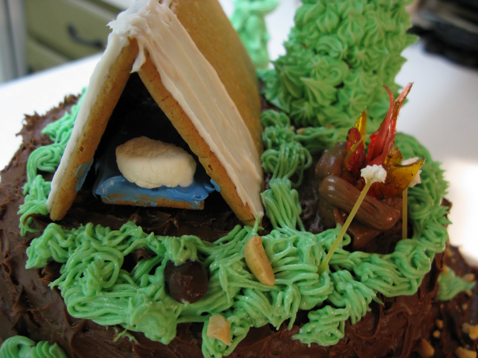 everyday originals: Best Boy Scout Themed Cake