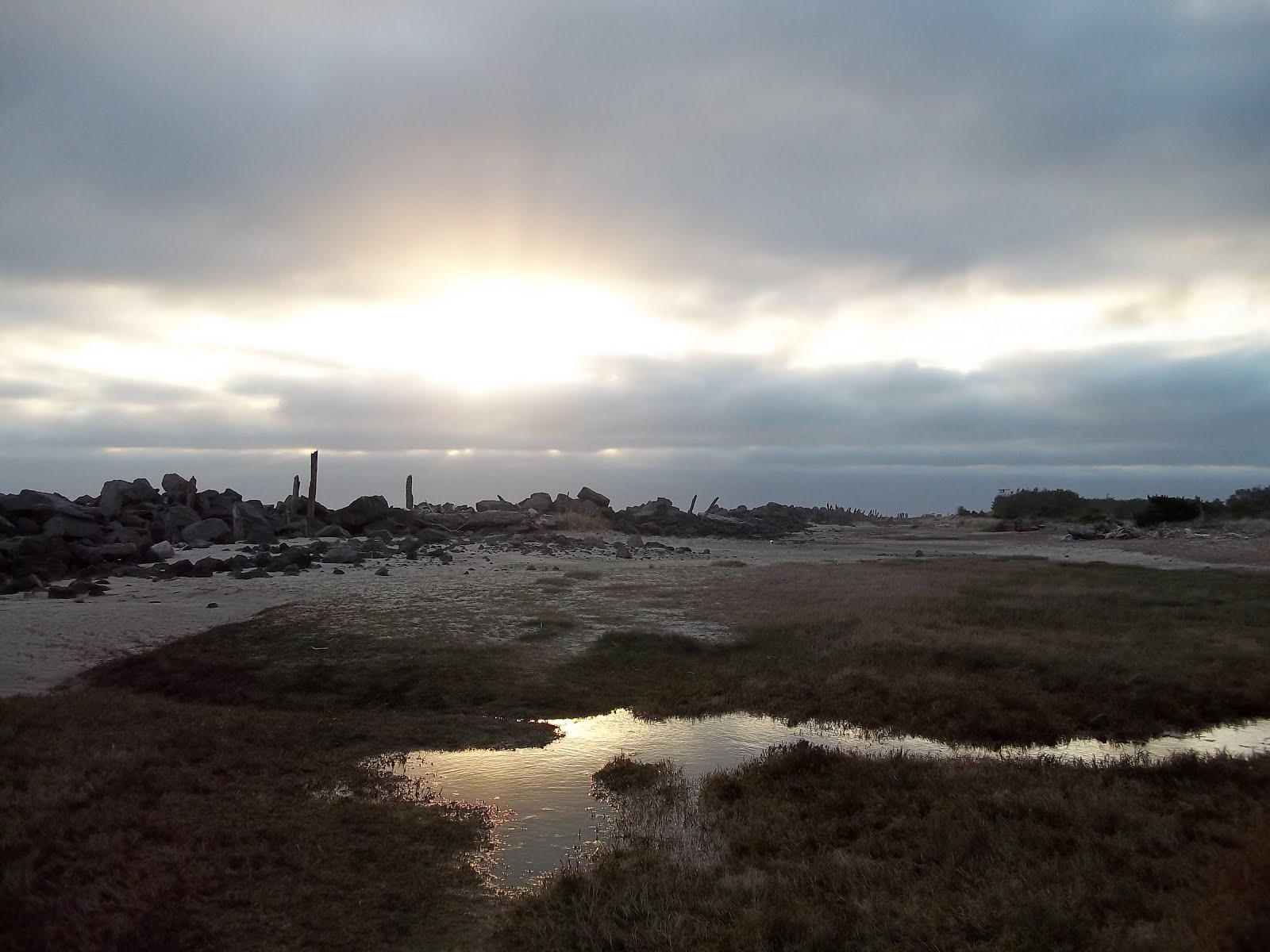 Casing Oregon: A Day by the Bay, Part One: Barview Jetty