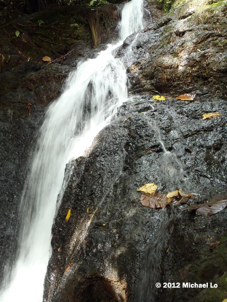 The rainforests of Borneo & Southeast Asia: A 4-storey high waterfall ...