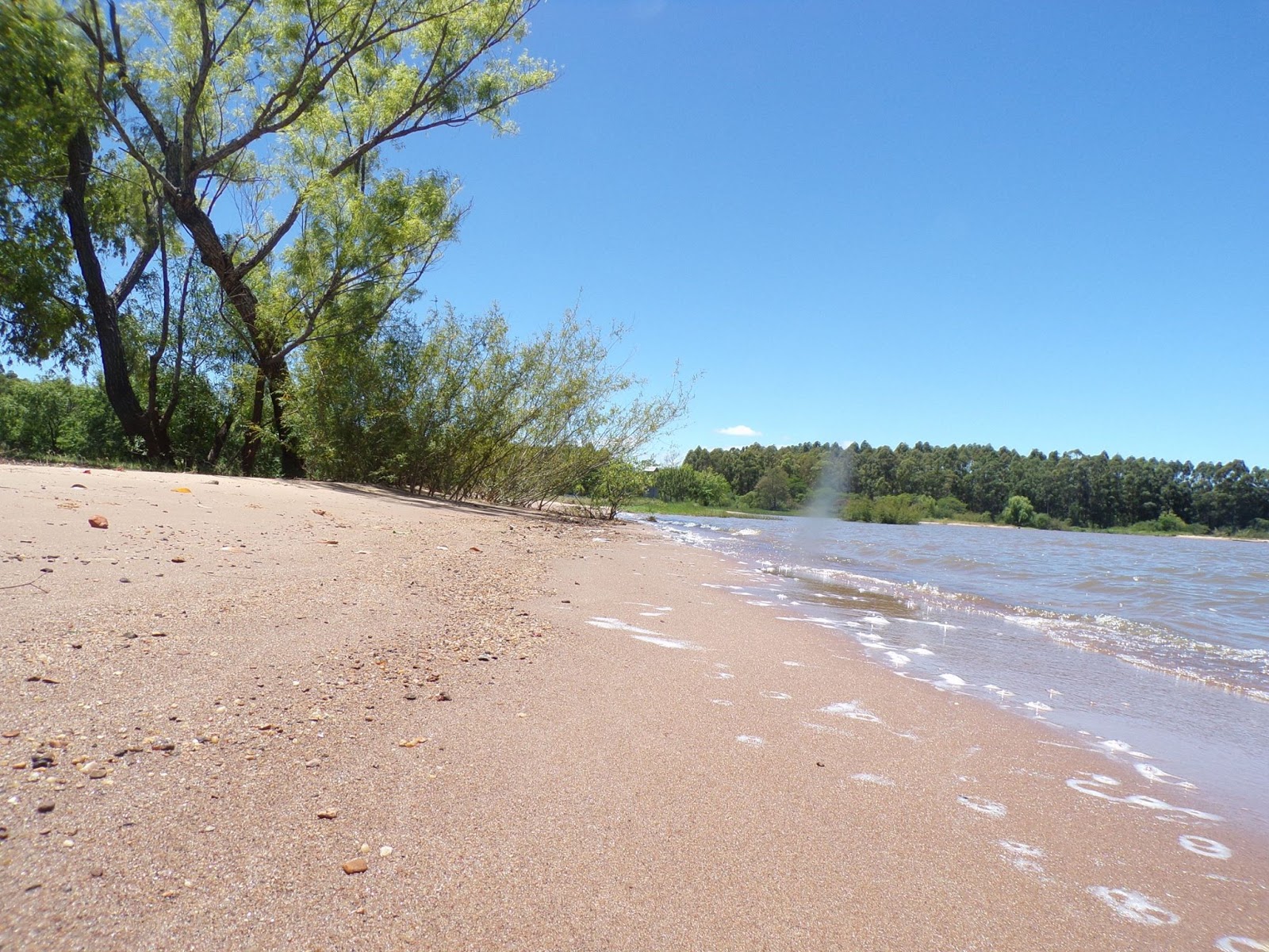 Balneario Camping Ciudad de Chajari - Region Litoral