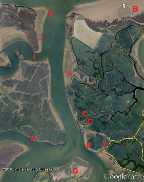 Birding the southern Medway: Up and down the Stangate Strip