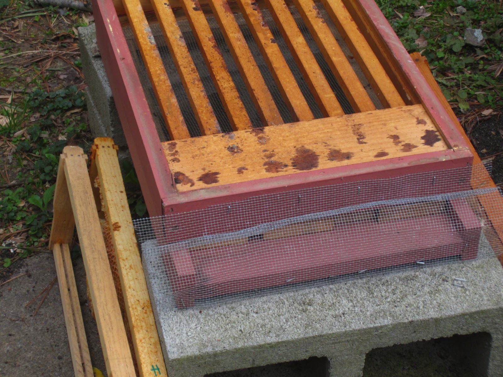Pro Wooden Guide: Complete Beehive entrance reducer plans