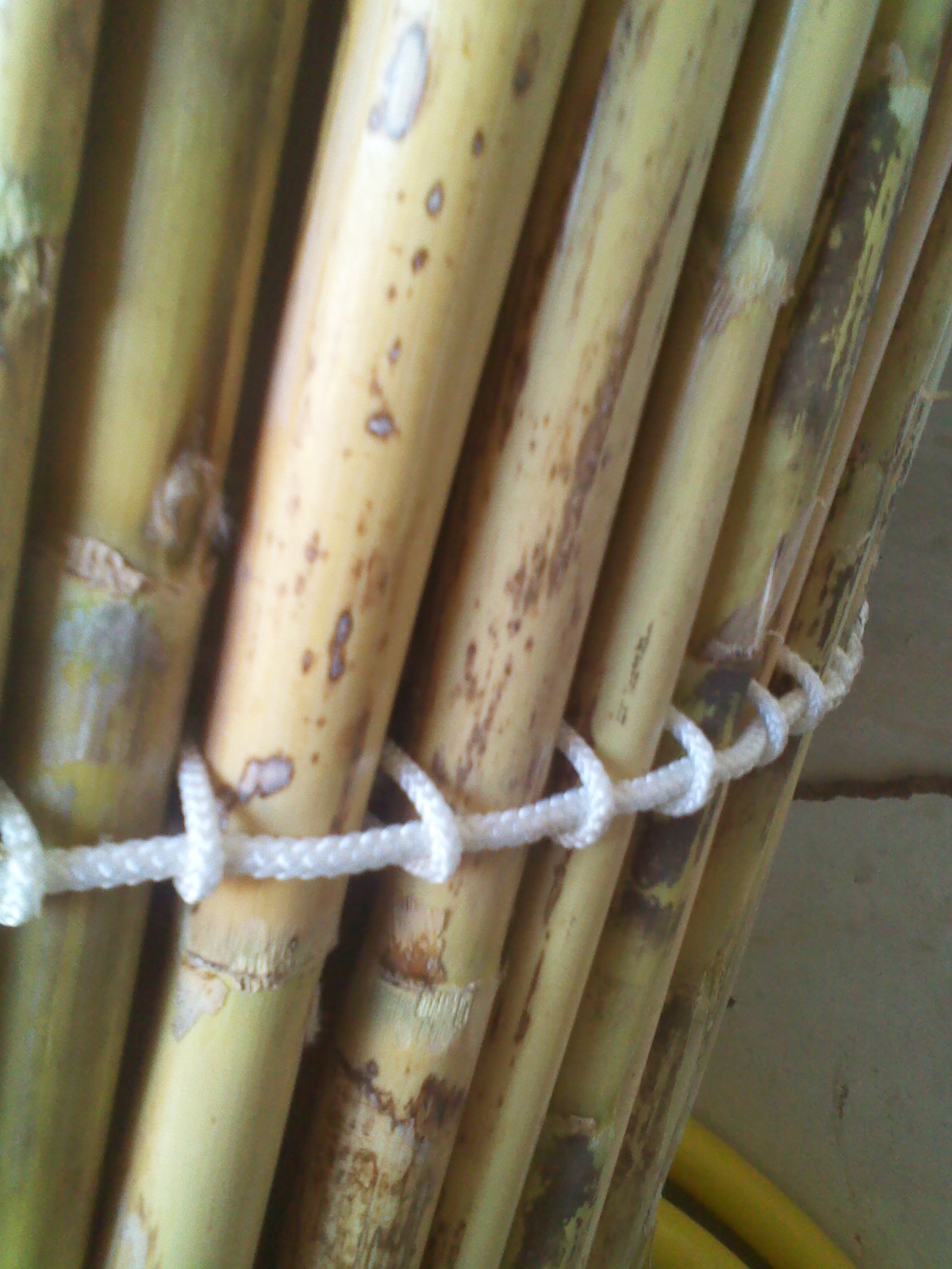Canopy From Cane Reeds- An Old Maltese Tradition Still Alive In Malta ...