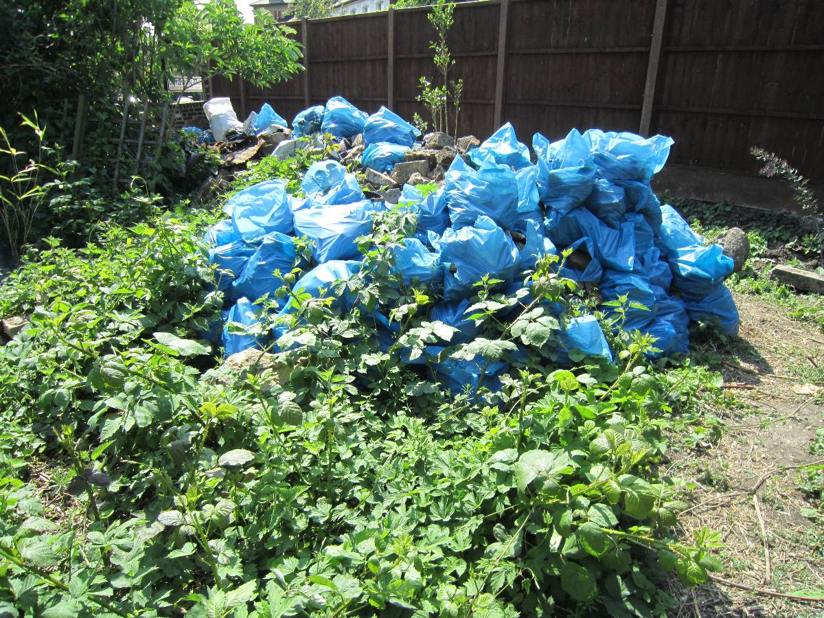 Rambling towards an exotic garden paradise: Other people’s gardens, and ...