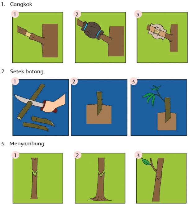 Gerak Pada Hewan dan Manusia, Subtema 3, Pembelajaran 3