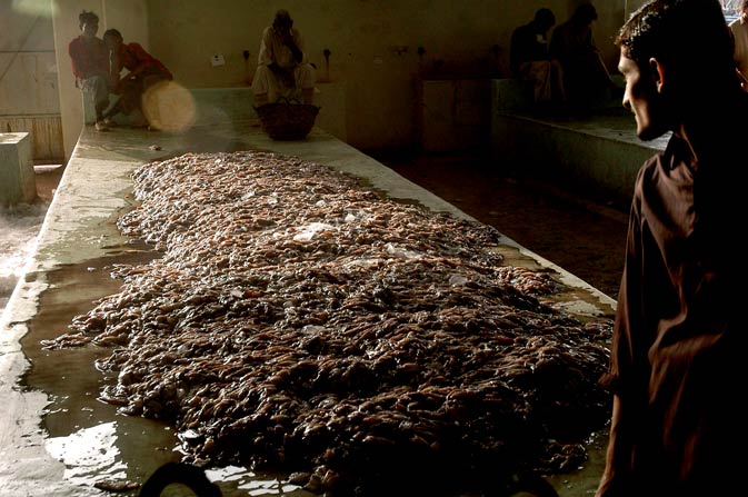 Fishing In The Ports Of Karachi ~ View Pakistan