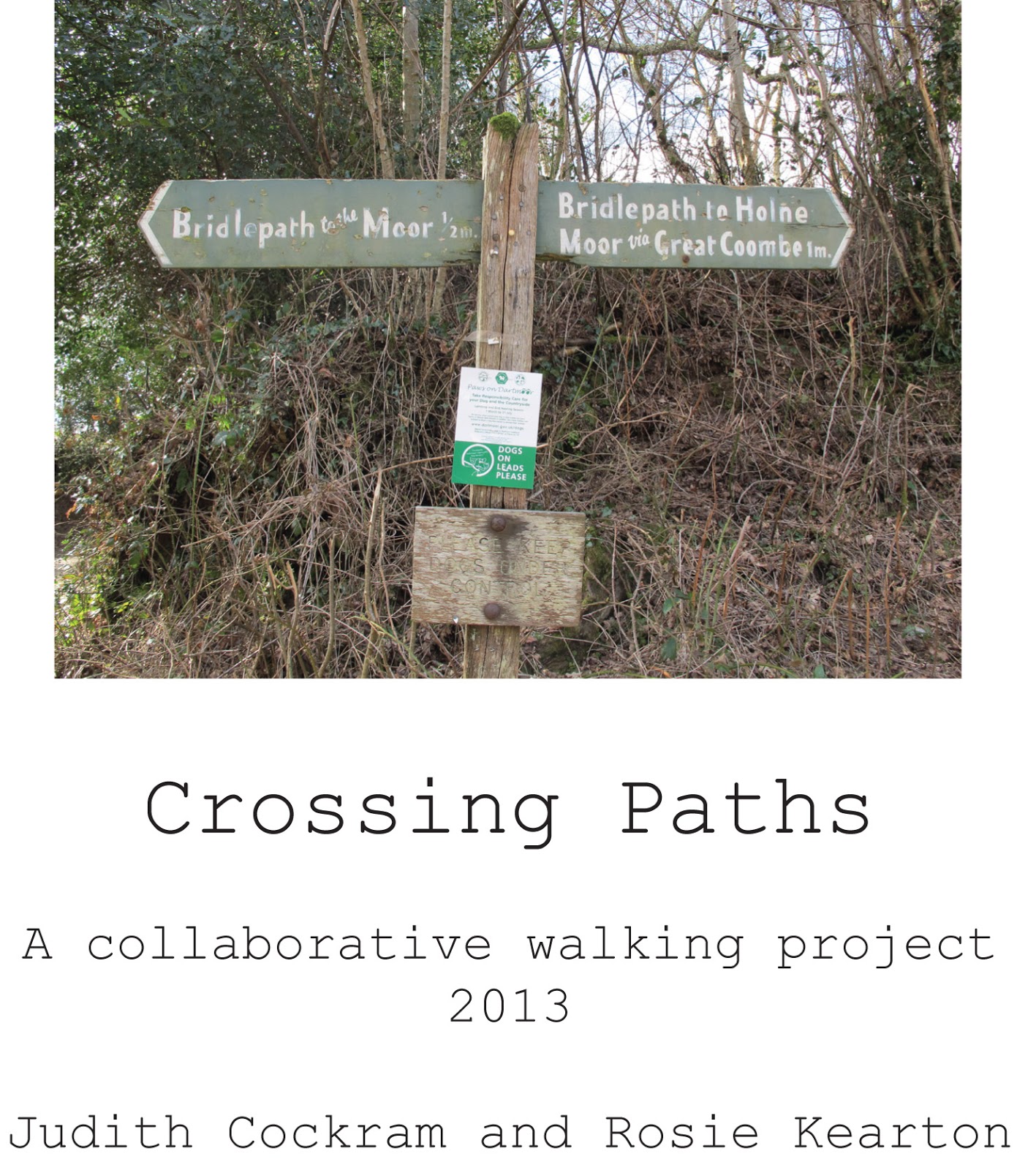 Ruminations, Rambles, Reflections: 2013