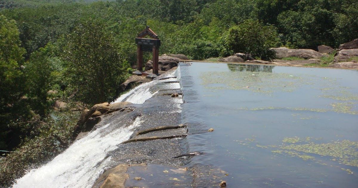 Tirparappu Water Falls: Falls Image