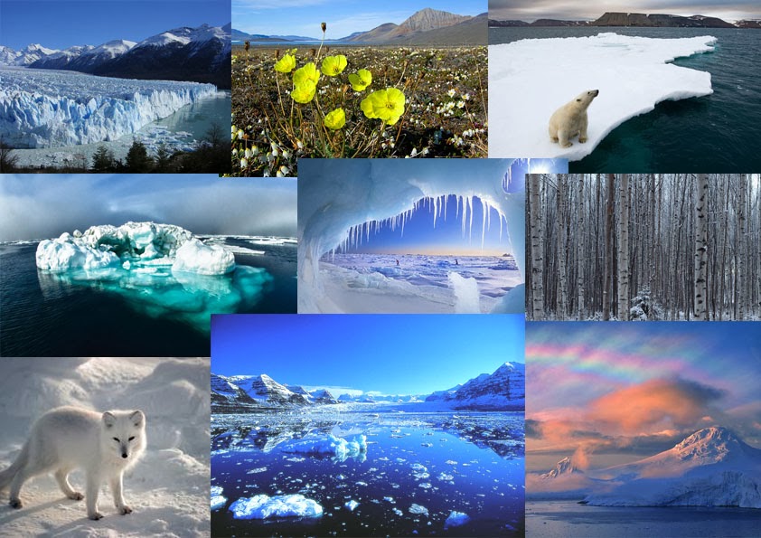 FINAL YEAR PROJECT: November 2013