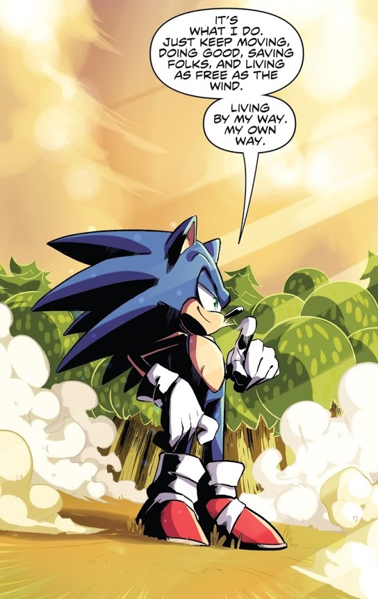 Hedgehogs Can't Swim: Sonic the Hedgehog (IDW): Issue 2