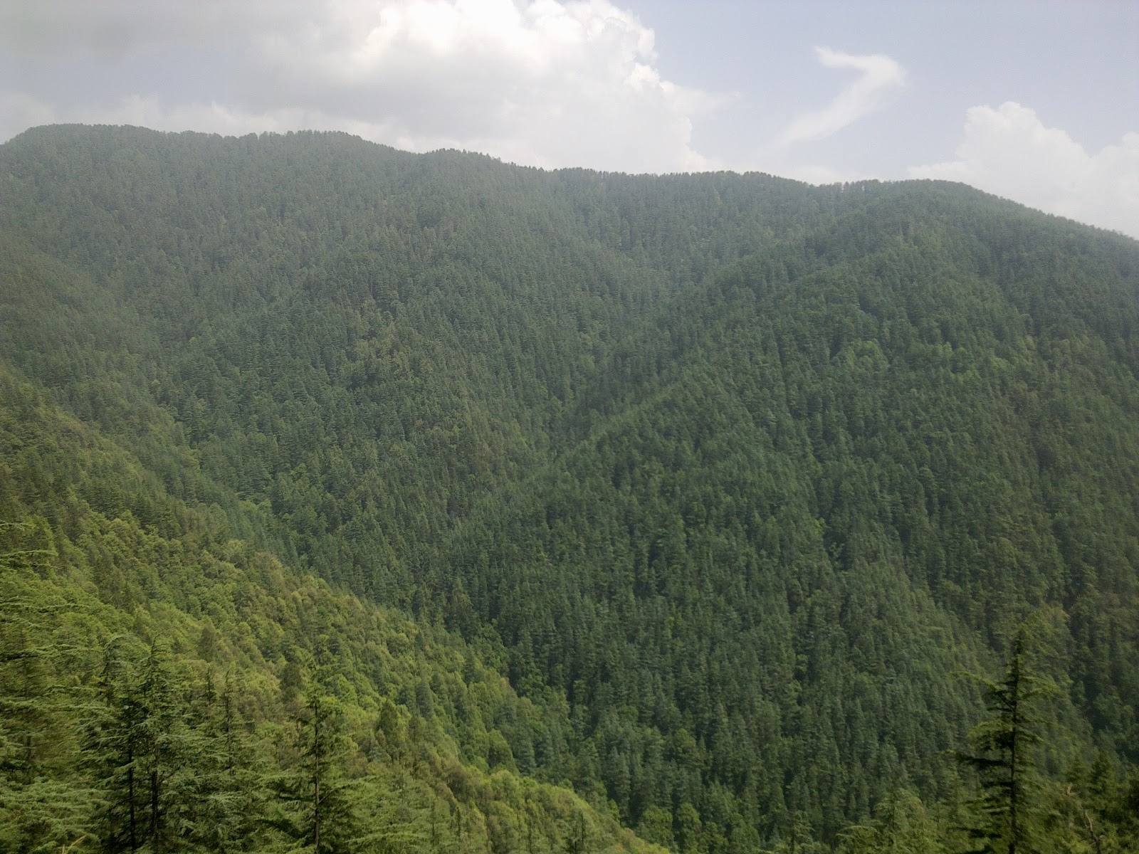 Destination: Hasan Valley-Shimla