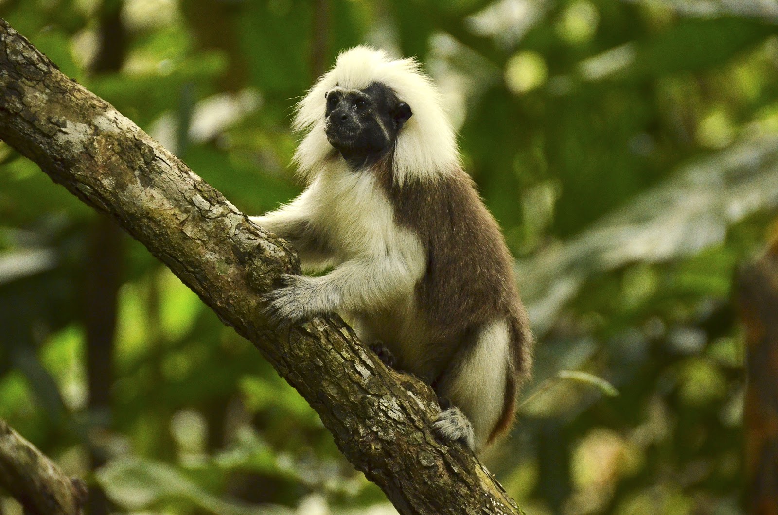 PUNTO DE VISTA: diciembre 2012