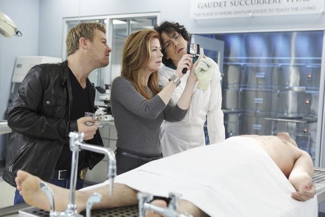 Thajoia : Body of Proof - Série