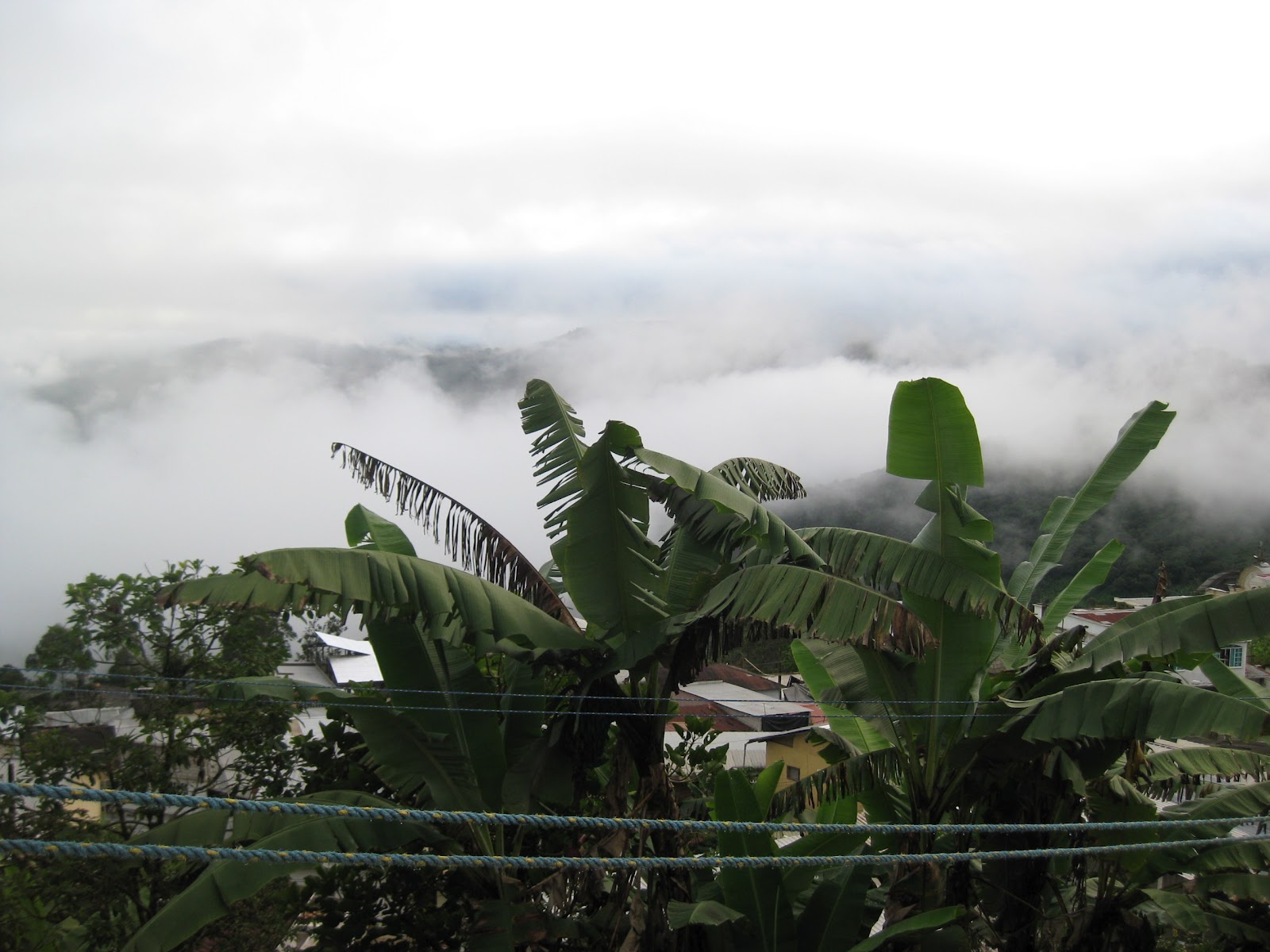 Jordan in Ecuador: Paccha, El Oro