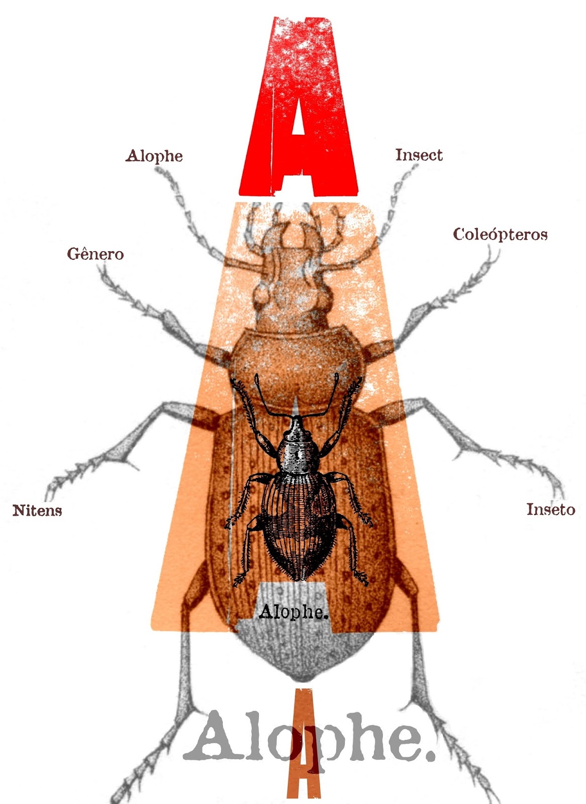 Miran!: "Miran Design-Wood Type Manner...Insect"