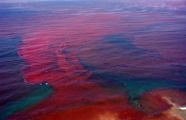 Living with Nature - School on Blog by Dr. Abercio V. Rotor: Red Tide ...