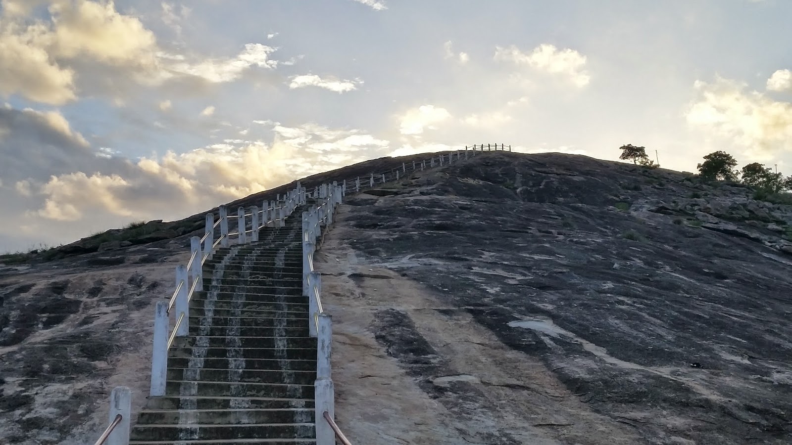 Jeevan's KALLI VALLI : Spotted Devil of Gummalapur, a walk back: Man ...