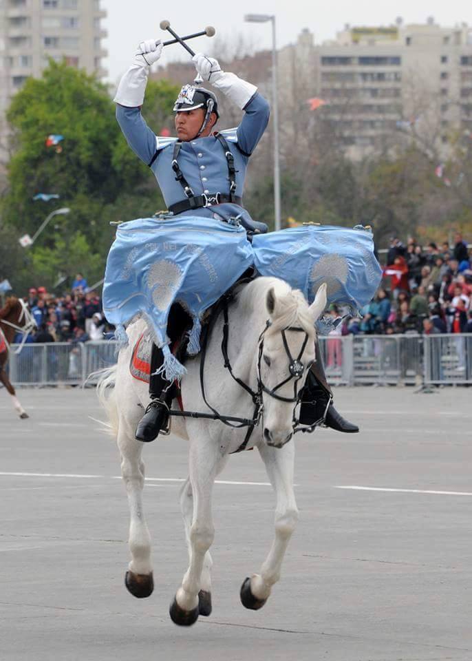 COMENTARIOS - BREVES : GALOPE Y SUSPENSIÓN