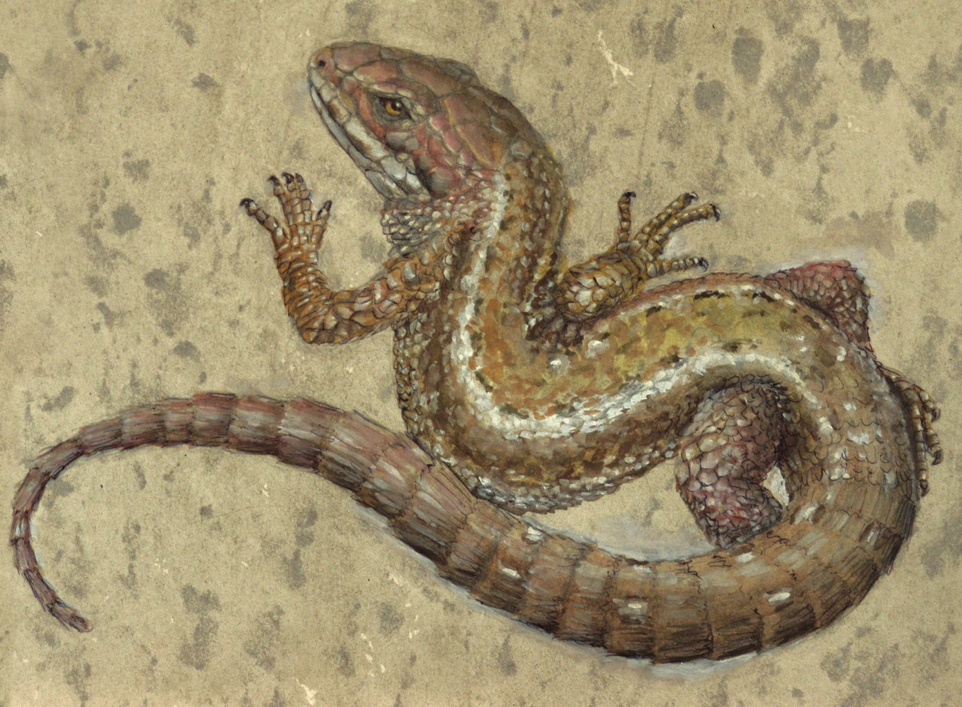 Wildeep's Illuminations: Twisted Lizard