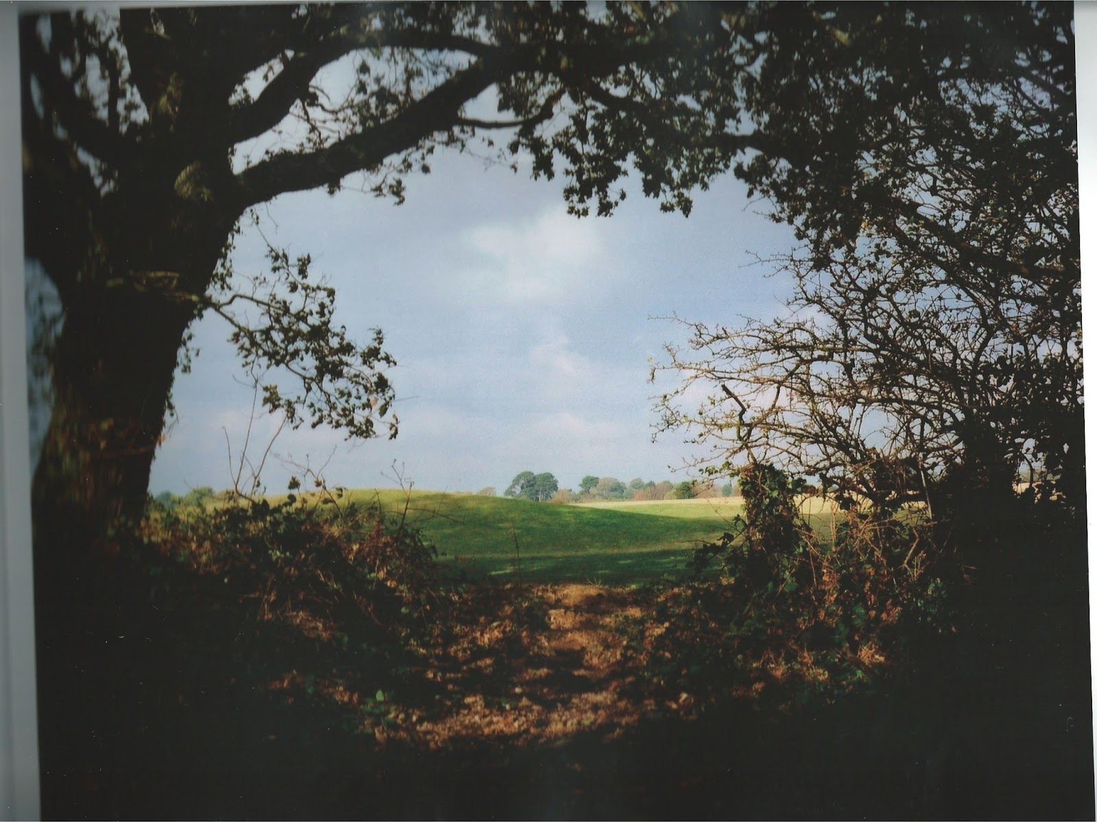 Emma Garton Photography: Richard Billingham- "Landscapes 2001-2003"