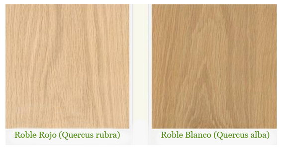 Productos Maderables de Cuale: Madera Roble