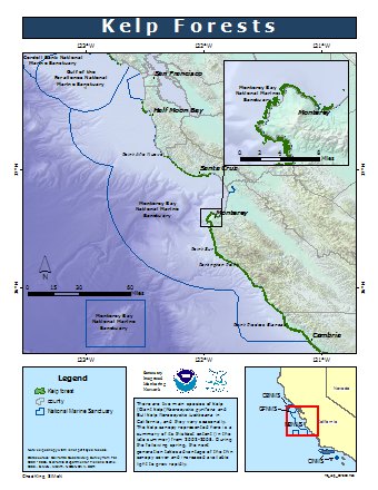 The California Kelp Forest Adventure