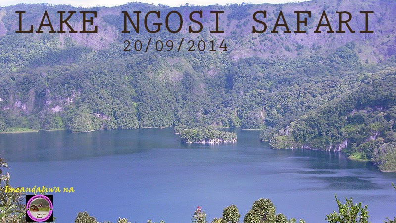 Mbeya home of tourism: LAKE NGOSI SAFARI