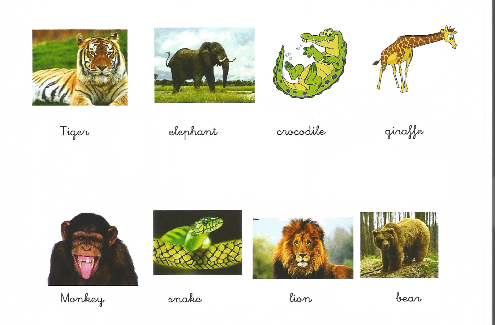 ¡Ya estamos en primaria!: WILD ANIMALS . Ficha 1. Tema 5 (Animales ...