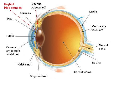 De ce vedem uneori stele sau stelute? | Gandire Logica