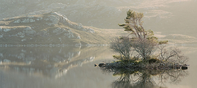 Photography by Tim Parkin