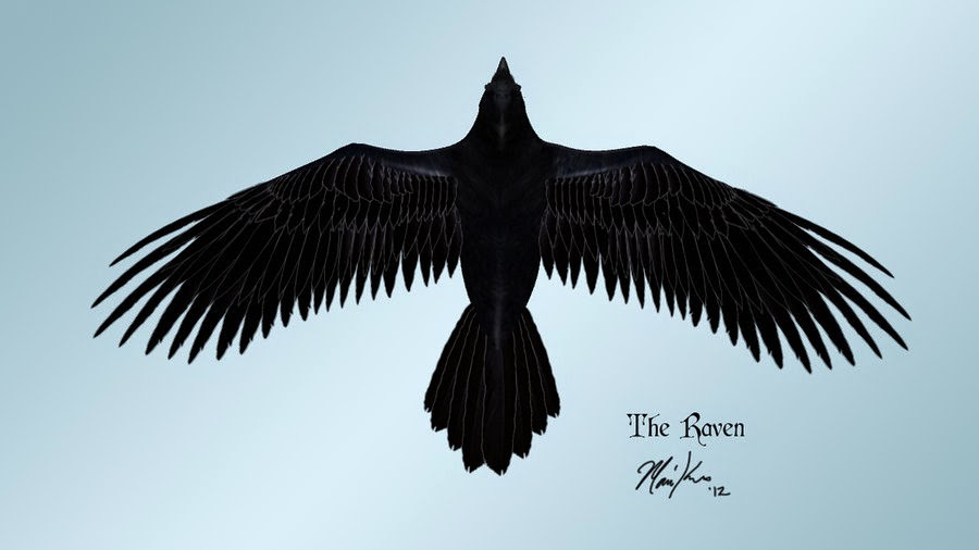 The Raven Reference Images