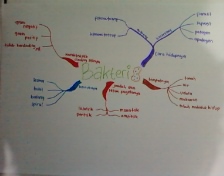Simple Me: Mind Map 'Bakteri'