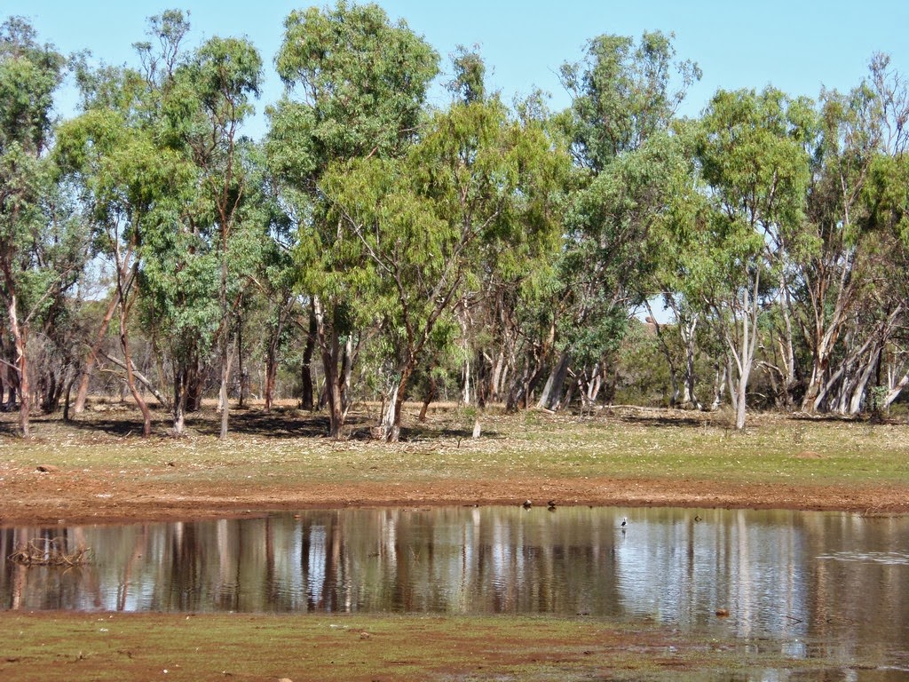 Solo Steve On The Road: DAJARRA WATERHOLE, OUTBACK Qld