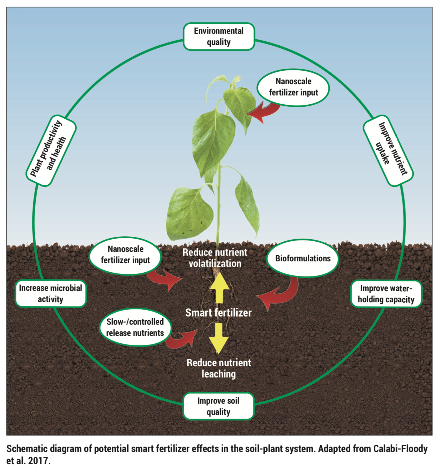 Managing Plant Nutrients