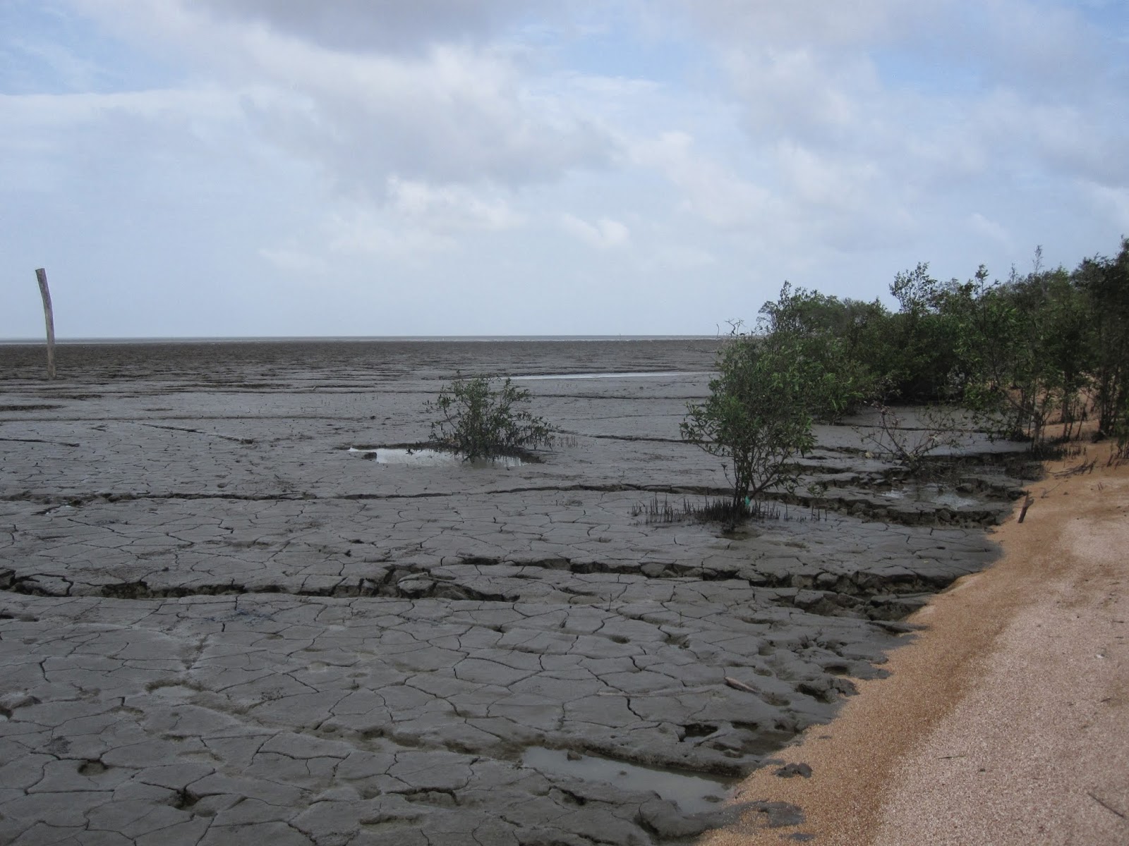 Julie in Paramaribo: Nickerie