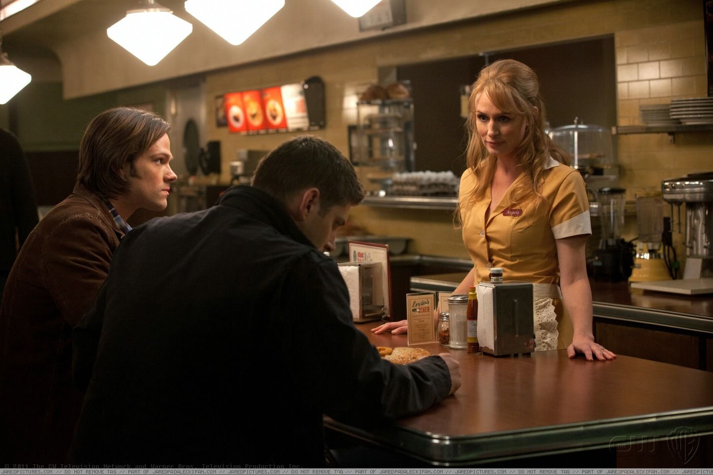 John Kenneth Muir's Reflections on Cult Movies and Classic TV: The Cult ...