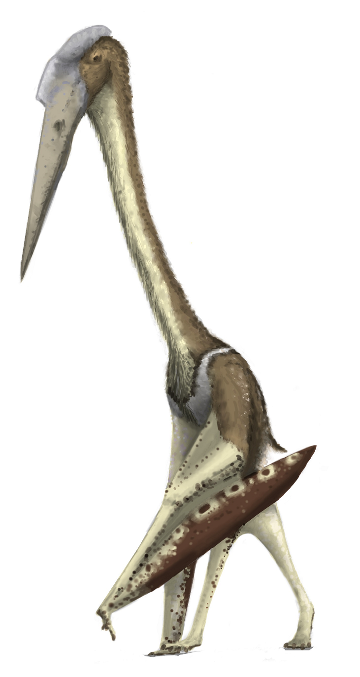 Mark P. Witton's Blog: Palaeoartworks, the case studies, part 1: Giant ...