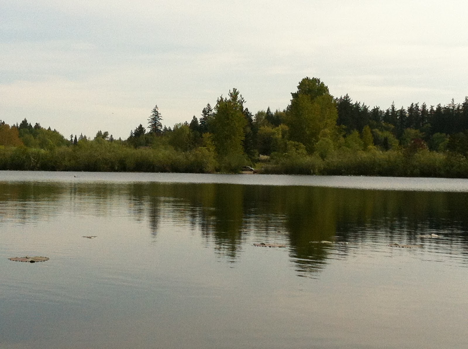 Hears Different Drummer: Kayaking at Fazon lake