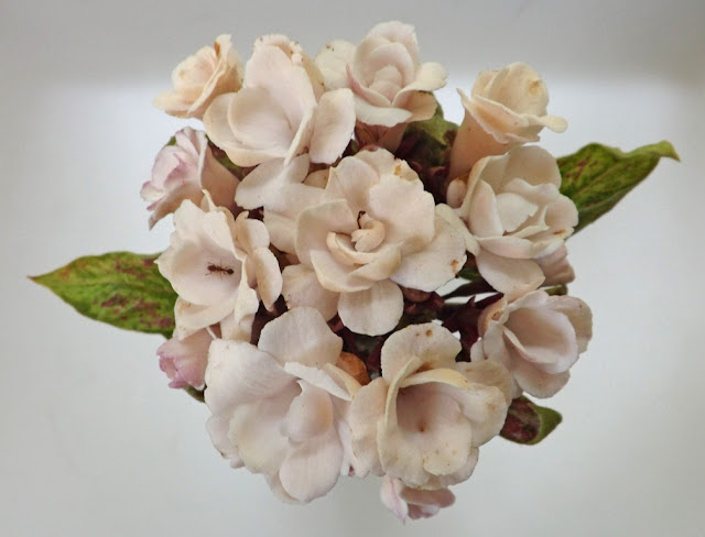 MARIETTE'S BACK TO BASICS: {Clerodendrum Philippinun - Cashmere Bouquet}