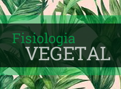 O estudo da Fisiologia Vegetial - Blog do Quero Conteúdo