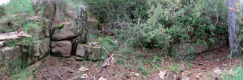Esglésies del Solsonès: Ermita Sant Bertomeu, restes 01