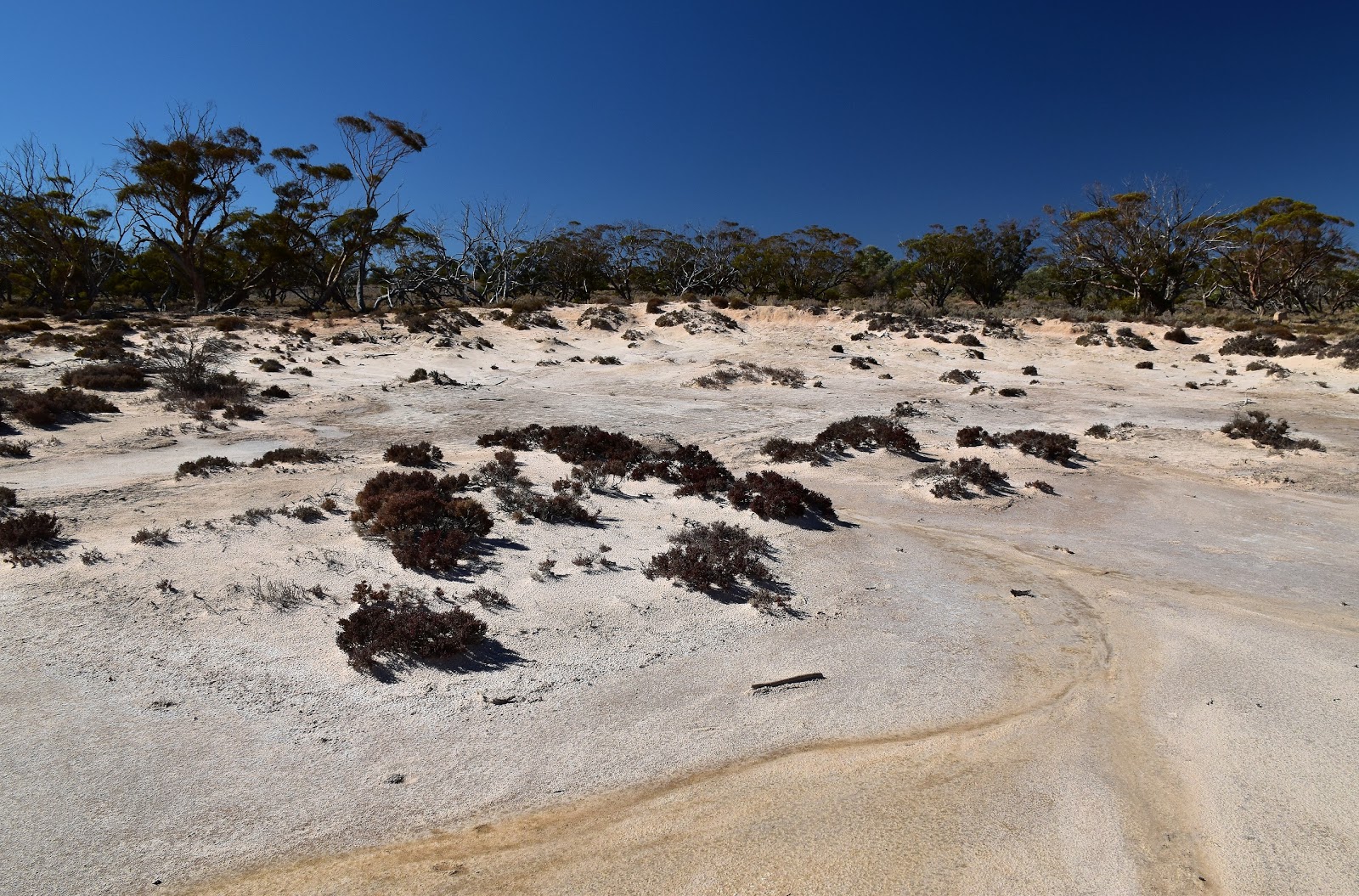 Goin' Feral One Day At A Time: Pink Lakes Walk, Murray~Sunset National ...