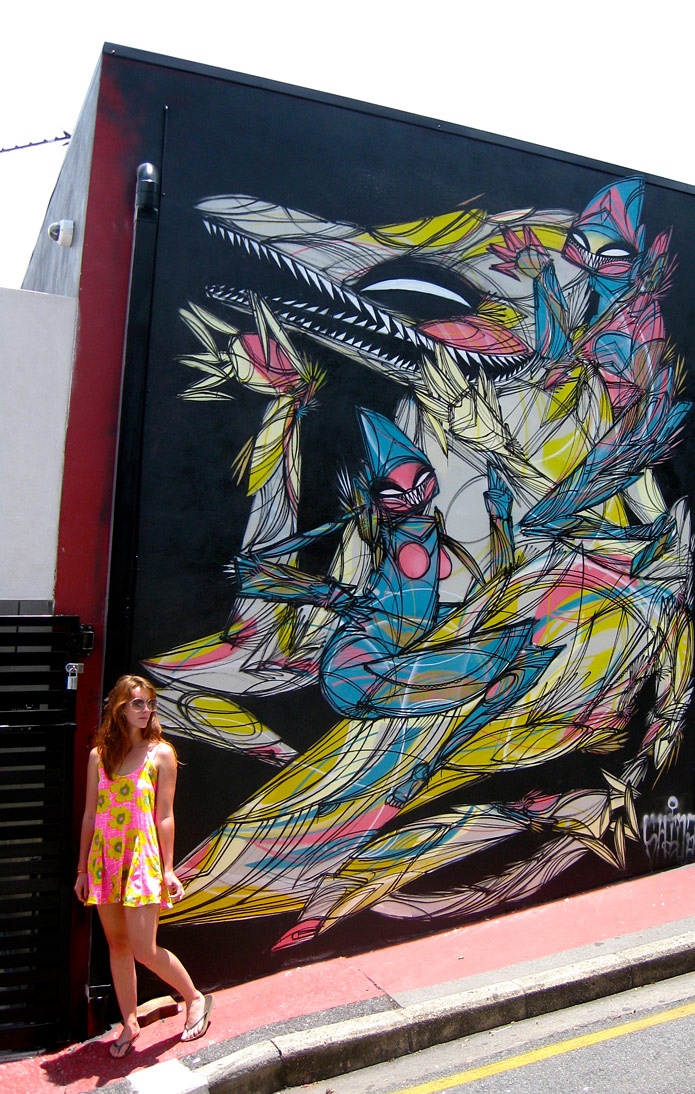 Vimural: The Viral Mural Home to Street Artist Biographies: Shida