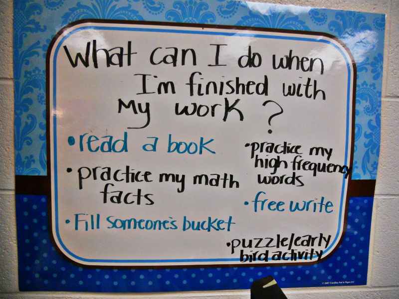 Hawk's Nest: A Glimpse into the Hawk's Nest