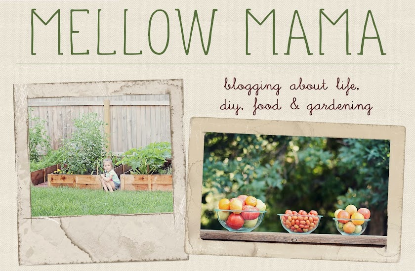 Mellow Mama: Seed Update and Weekend Plans